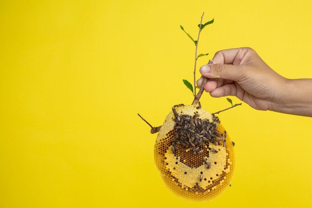 Save the Bees: 5 Practical Steps to Protect Our Pollinators Save the Bees: 5 Practical Steps to Protect Our Pollinators
