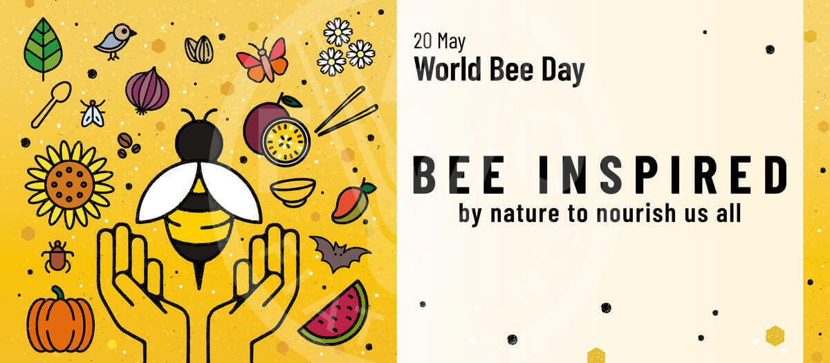 Celebrate World Bee Day 2025: Honoring Bees and Protecting Pollinators