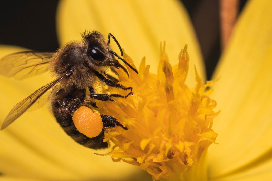 Can Bees Smell? Uncovering the Secrets of Bee Scent Perception