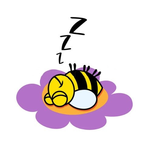 Do bees sleep? A closer look at their sleep cycle
